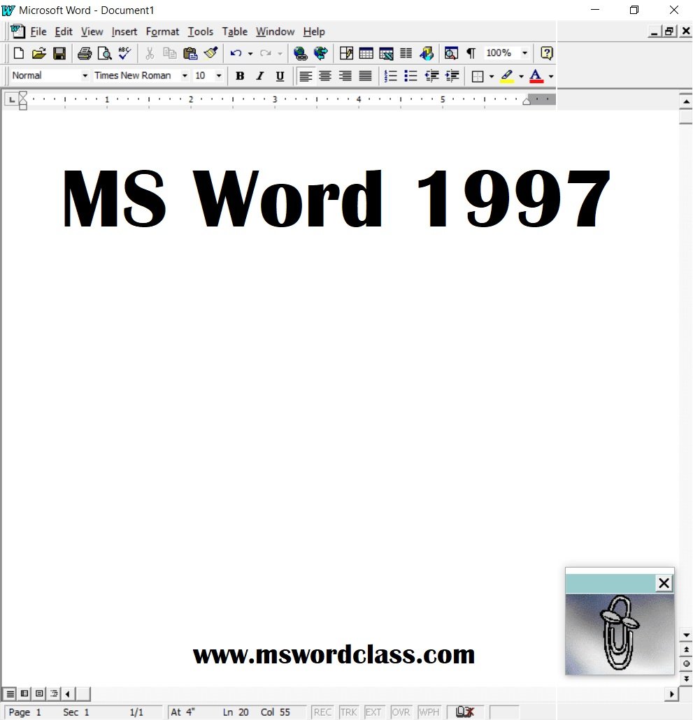 What is MS Word