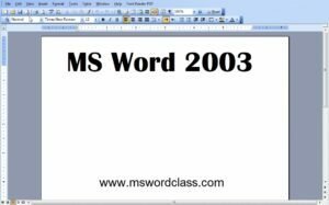 What is MS Word