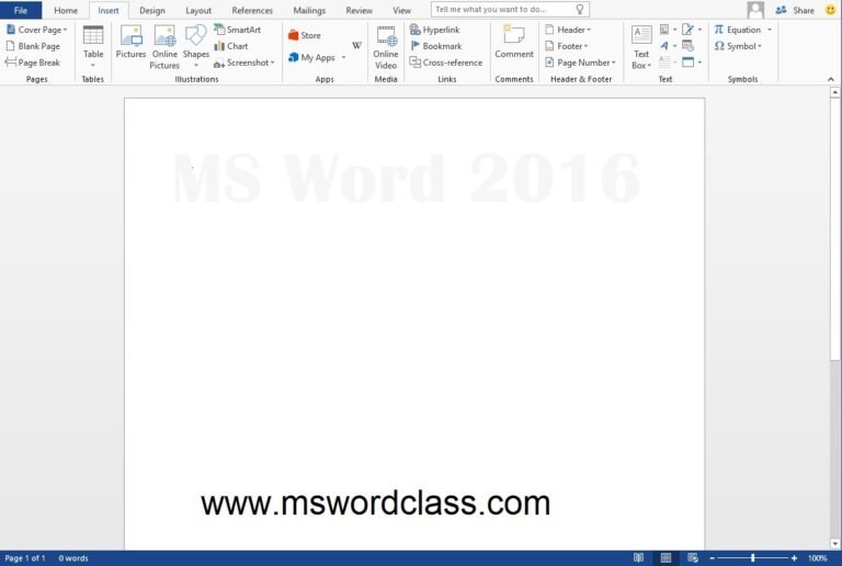 What is MS Word